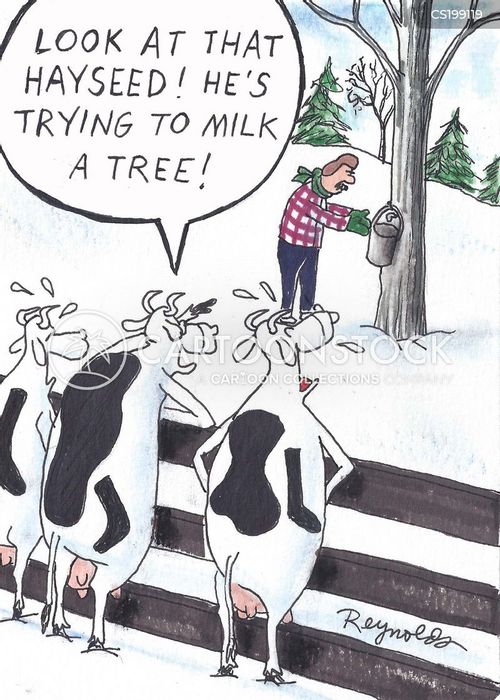 Maple Syrups Cartoons And Comics Funny Pictures From Cartoonstock