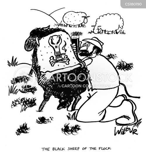 Black Sheep Cartoons And Comics Funny Pictures From Cartoonstock